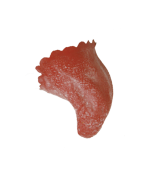 Devil Chin – TILT Professional Makeup